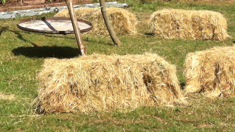 Build - Tents 4 Elements